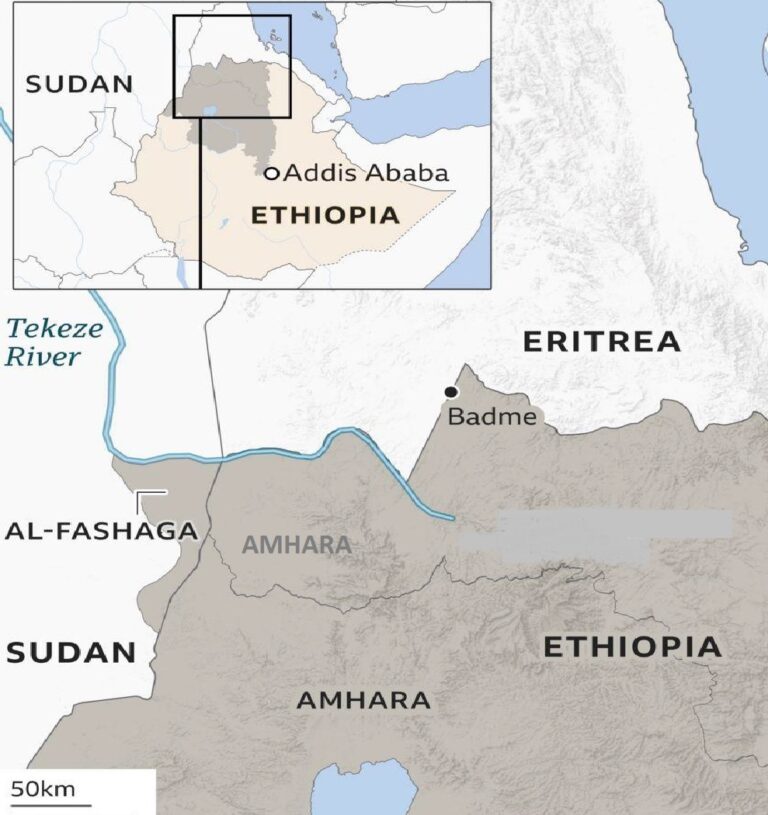 Sudan: Amhara Fano Forces Capture Strategic Border Town - East African ...